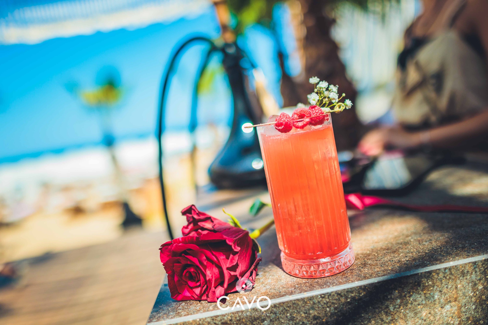 CAVO - Начало - Menuground